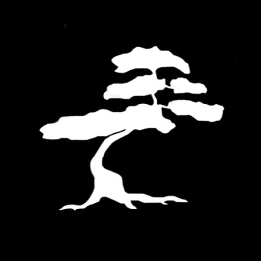 Bonsai Cha | Premium Matcha Tea for Sale | Innovative Matcha Maker